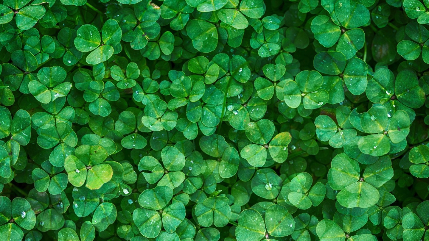 Ivy Plus Sustainability Consortium | Sustainability & Resiliency ...